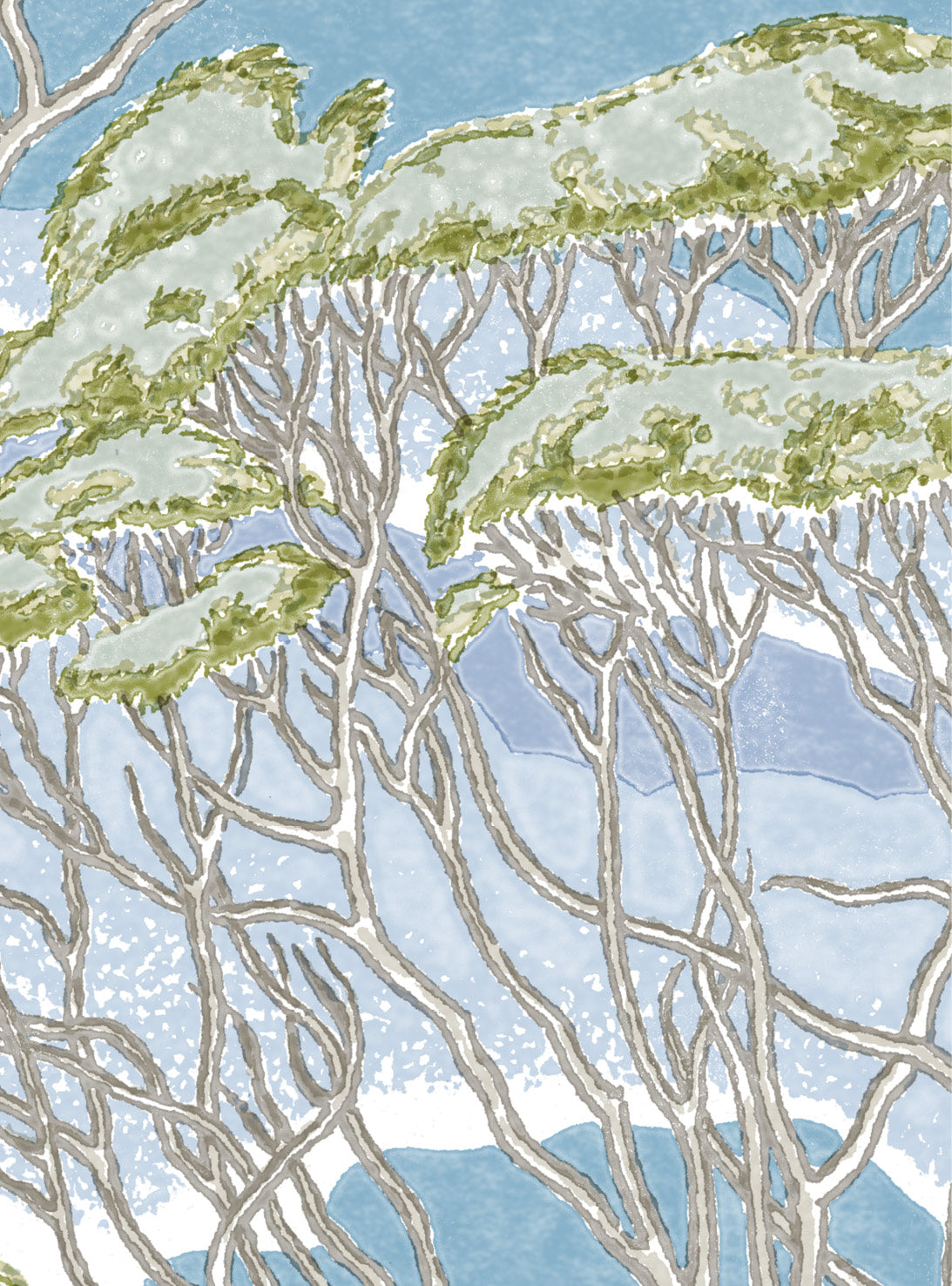 Trees Blue Wallpaper Swatch/Memo – Utopia Goods