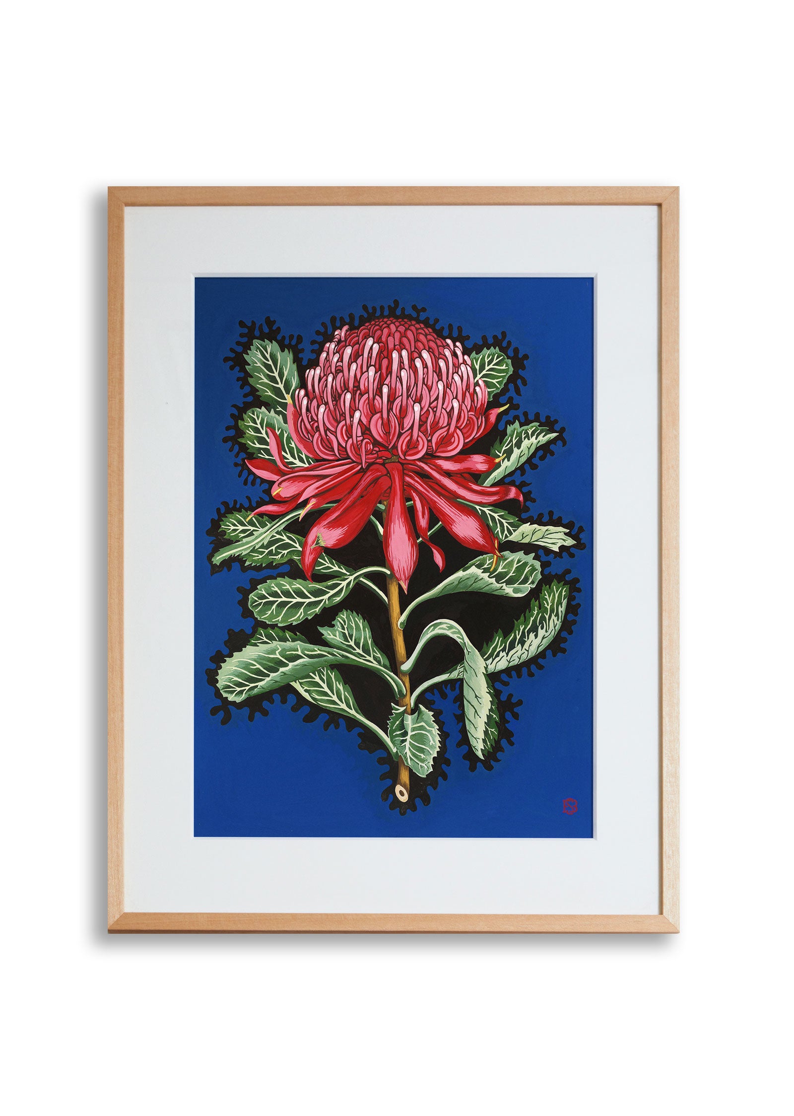 Waratah Deity Fine Art Giclee Print – Utopia Goods